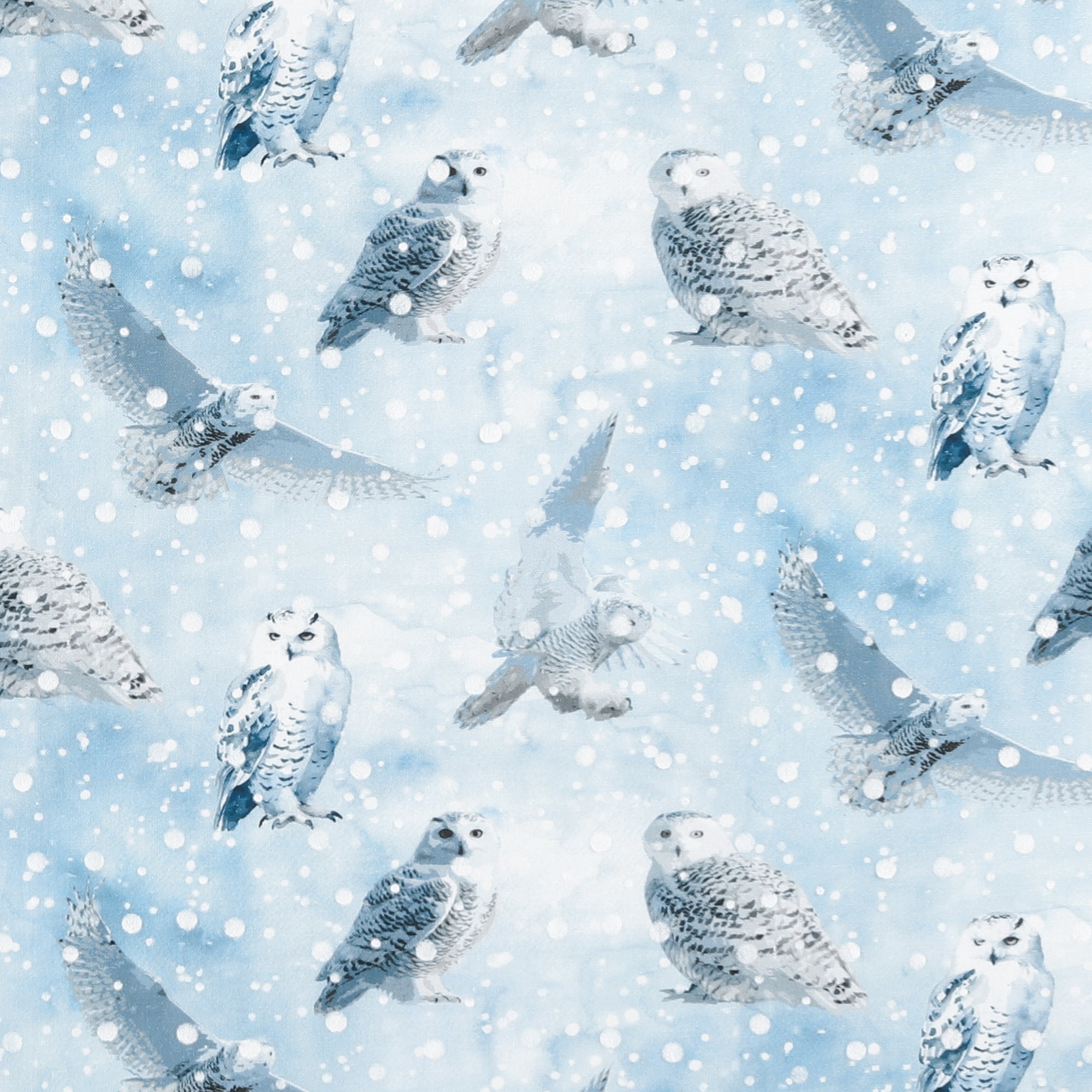 Printed Cotton - Winter Wonderland II - 009 - Light Blue – Fabricville