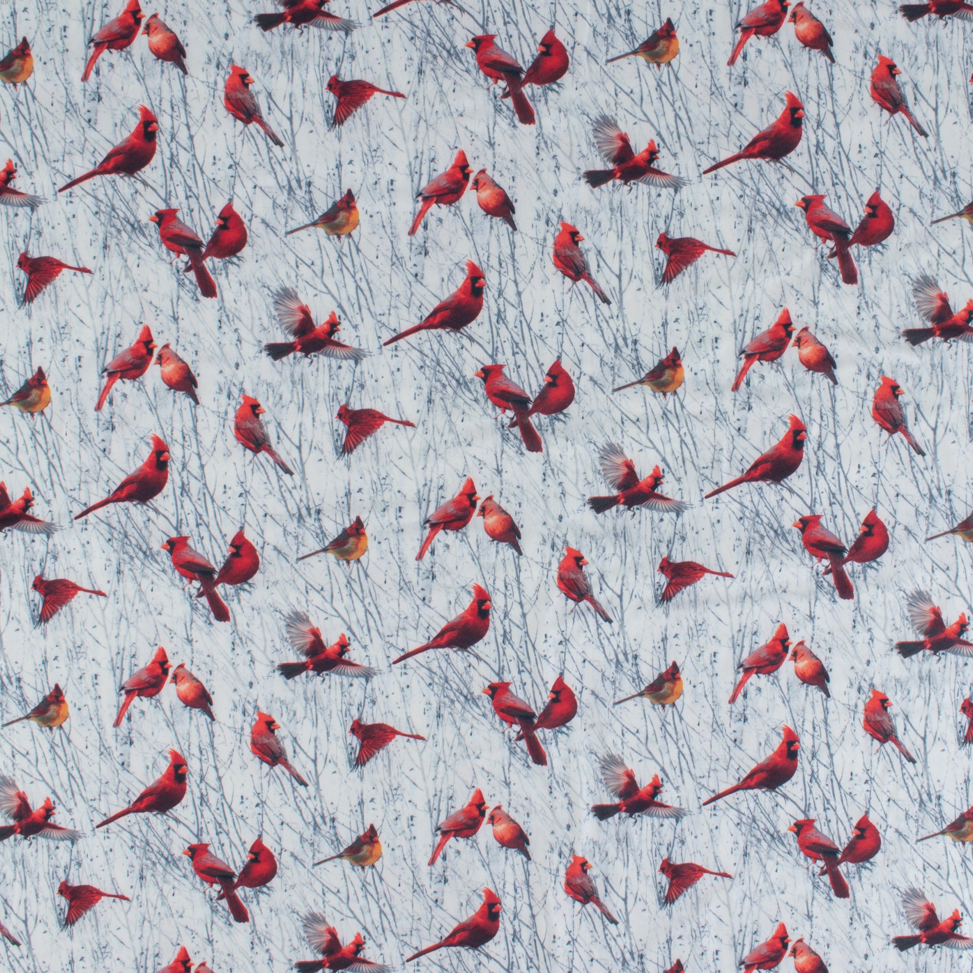 November Flyer Nov 3 - 27 Fashion (30%) AL – Fabricville