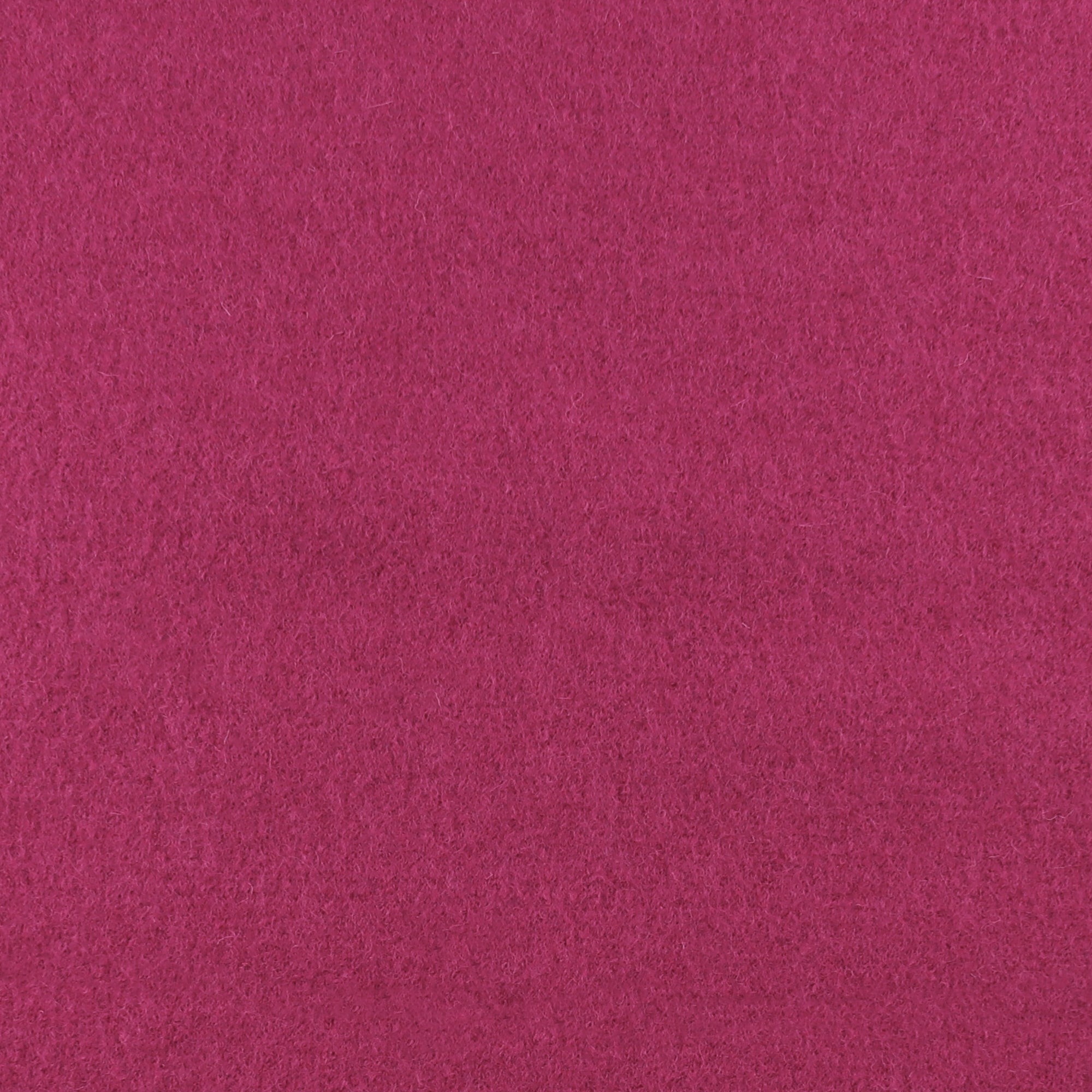 Boiled Wool - Tulip Pink – Fabricville