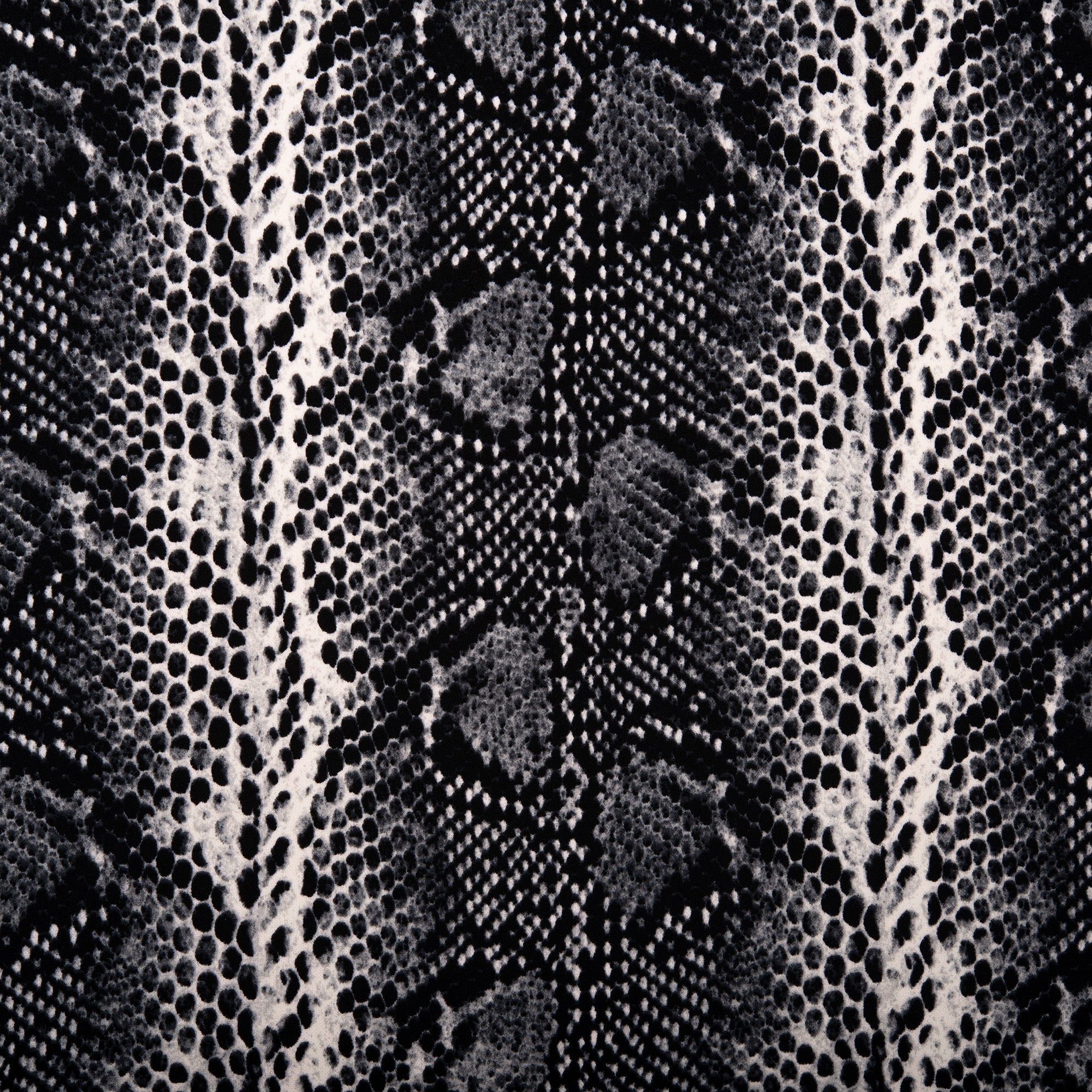 Heavy Knit - MELLISA - Snakes - Black – Fabricville