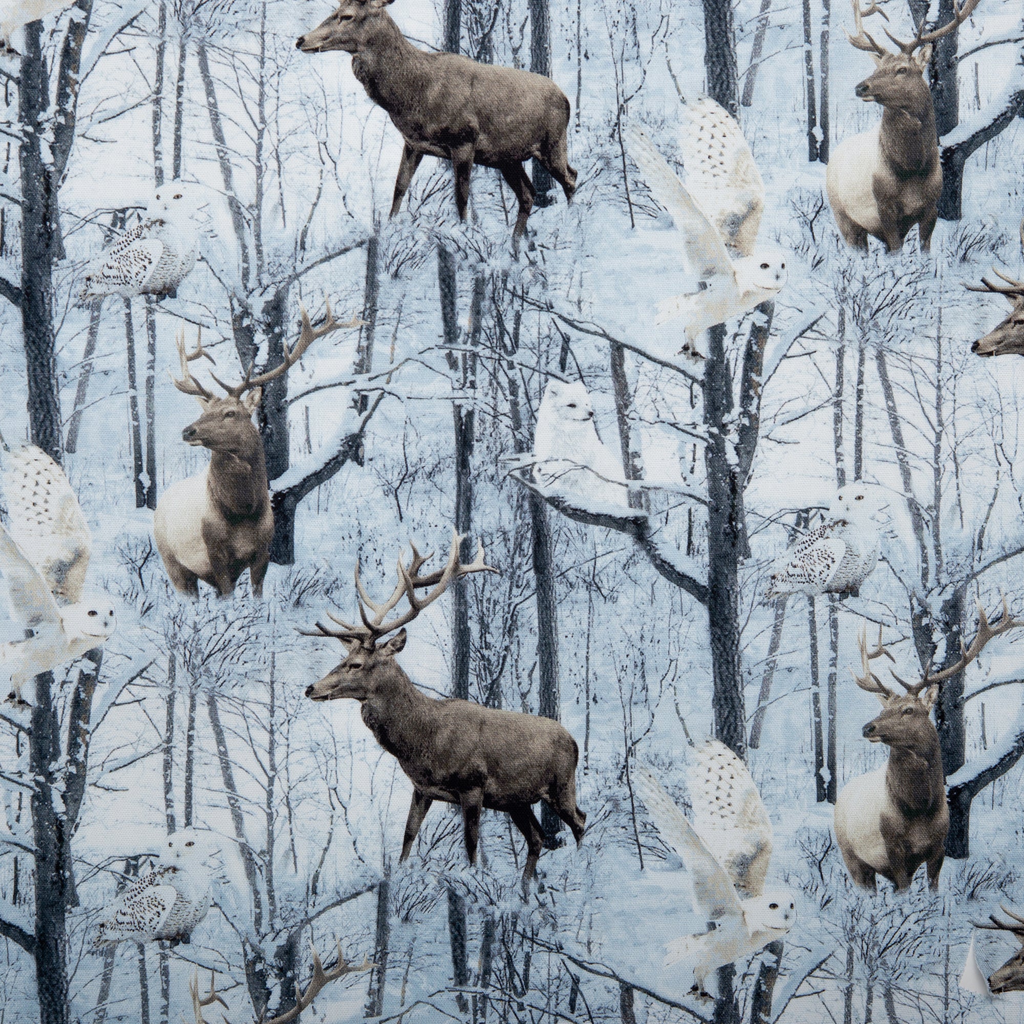 New Fall Fabrics (2023) – Page 11 – Fabricville