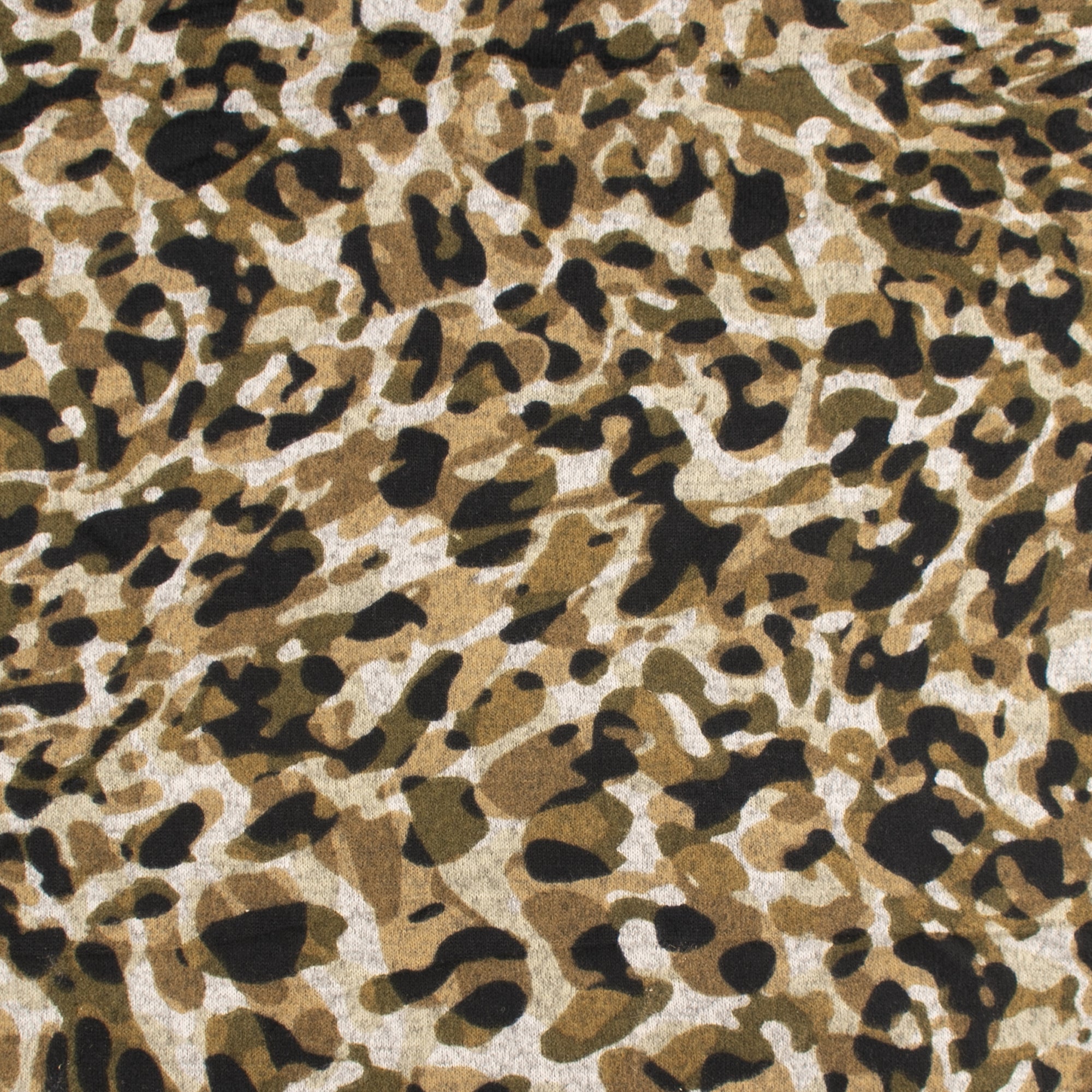 Printed Sweater Knit - HACCI - Leopards - Khaki – Fabricville