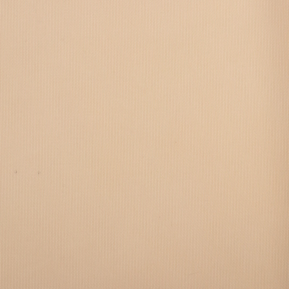 Heavy Power Mesh - Nude – Fabricville