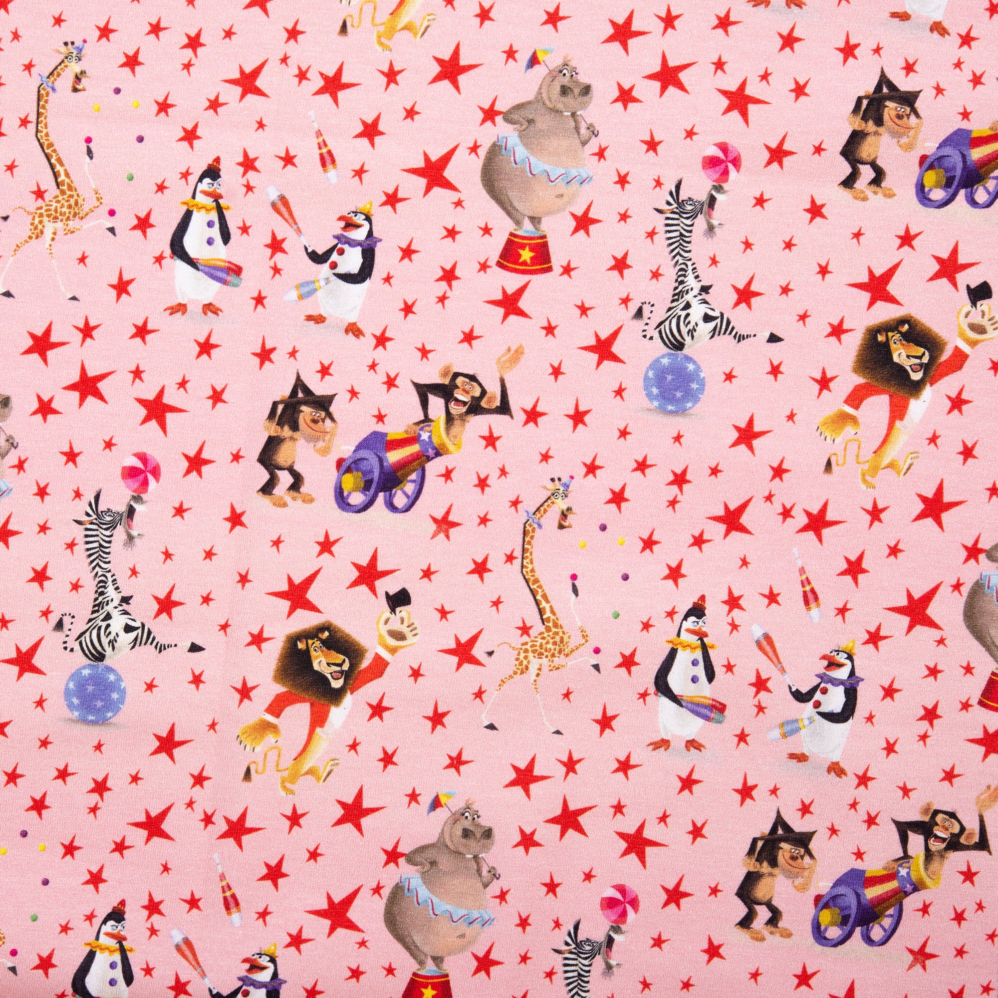 Printed knit - IMA-GINE F22 - Madagascar - Pink – Fabricville