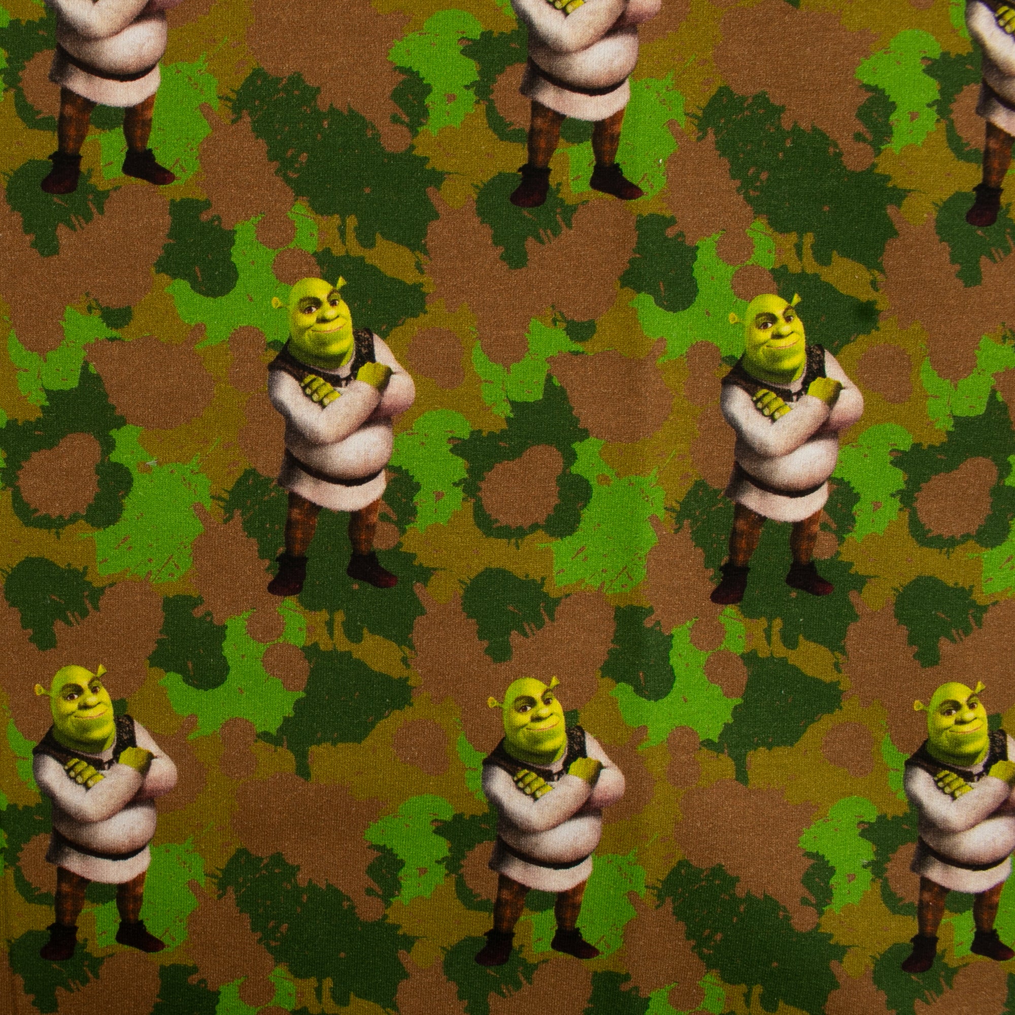 Printed Sweatshirt Fleece - FANTASMIC - Camouflage shrek - Green ...