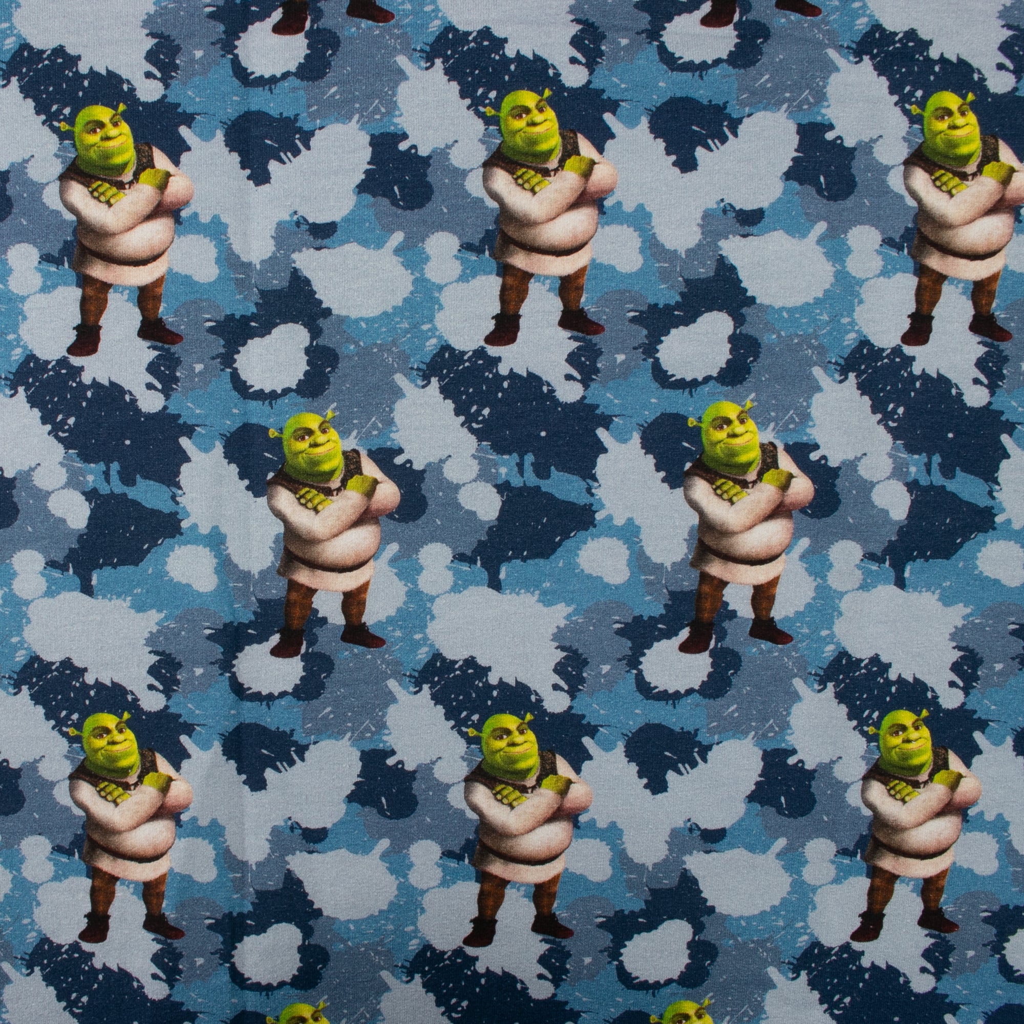 Printed Sweatshirt Fleece - FANTASMIC - Camouflage shrek - Blue ...