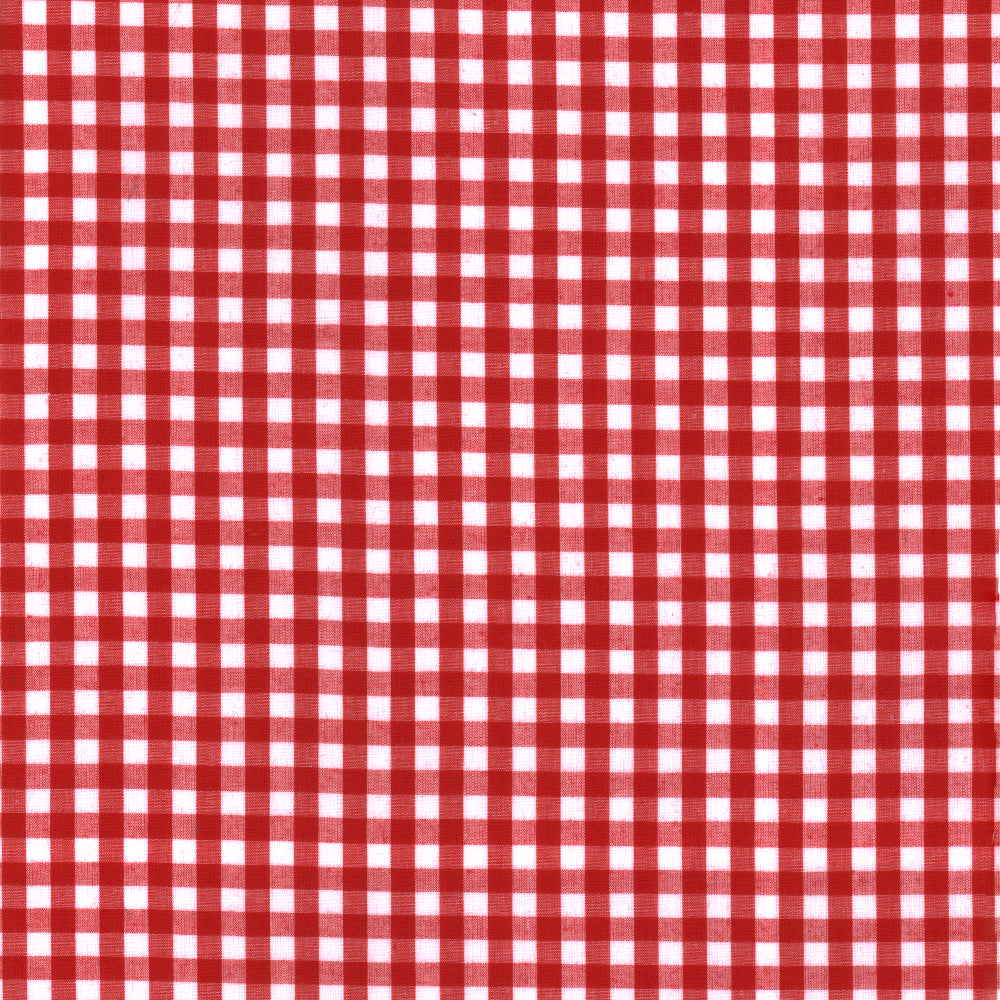 Gingham Check - Red 1/4" – Fabricville